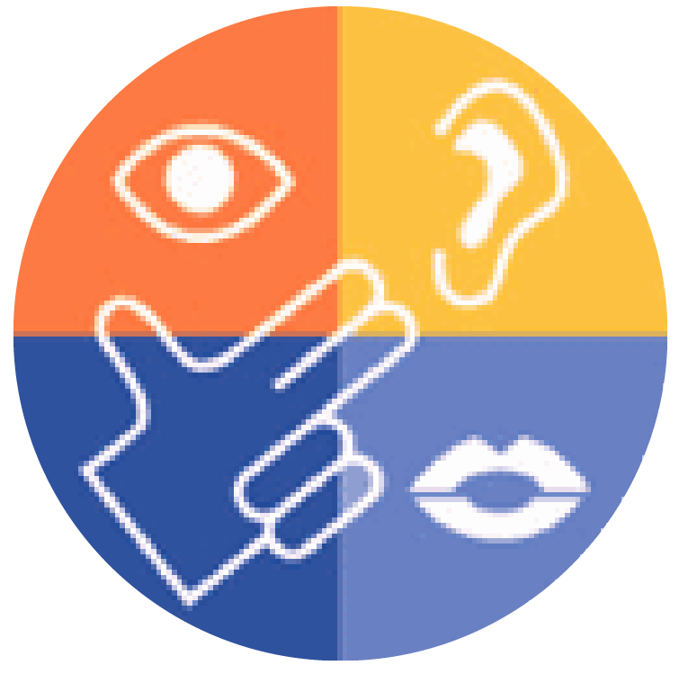 Licence professionnelle Codeur LfPC | INSEI